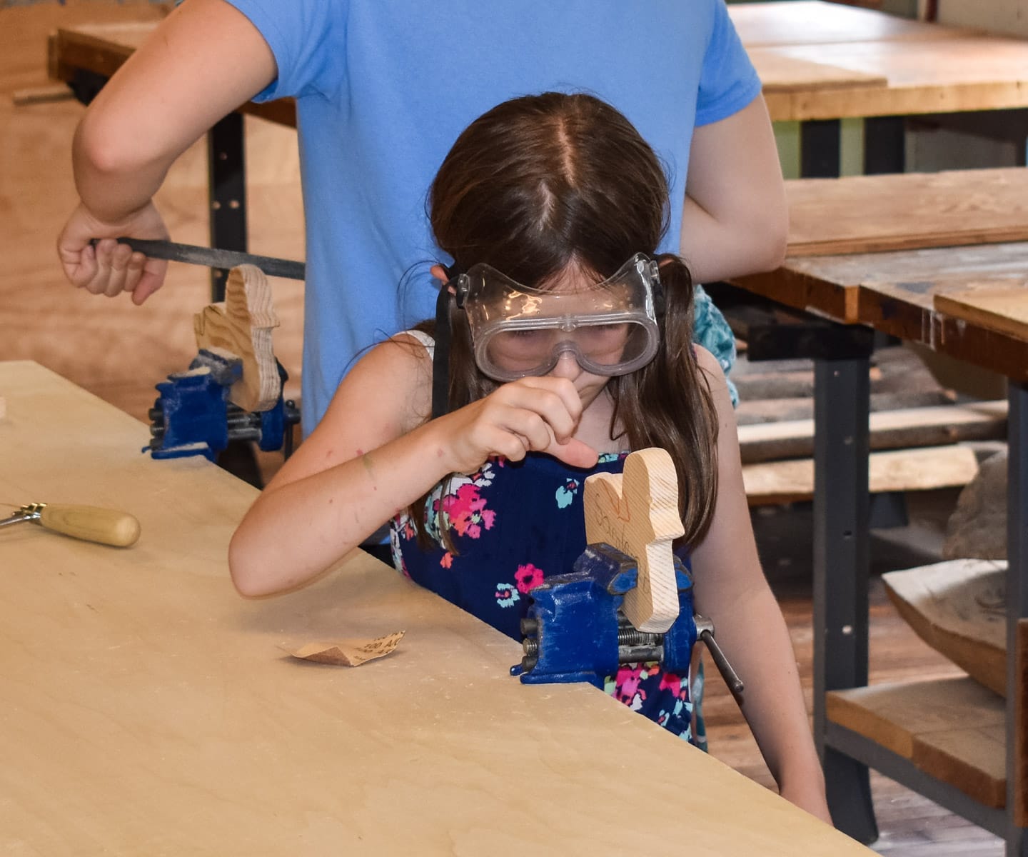 Senior Day Camp (Grades 4-6) - Summer@BB&N